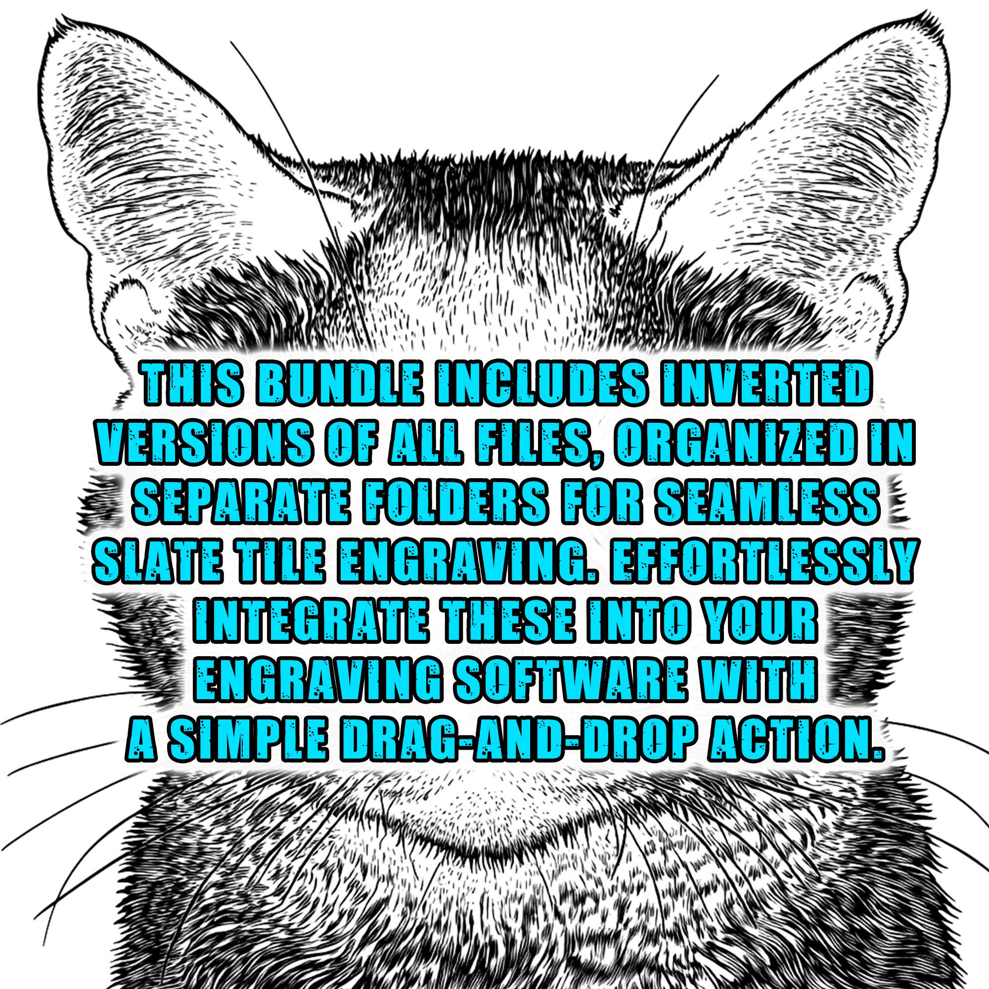 Slate Engrave Files Cats Head Front View All Breeds , Laser Ready PNG ...