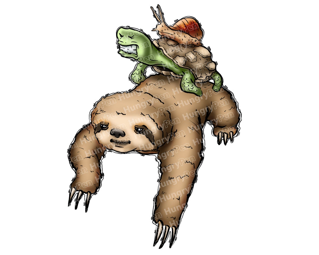 Sloth Sublimation PNG Sloth Turtle and Snail Funny Artwork Instant ...