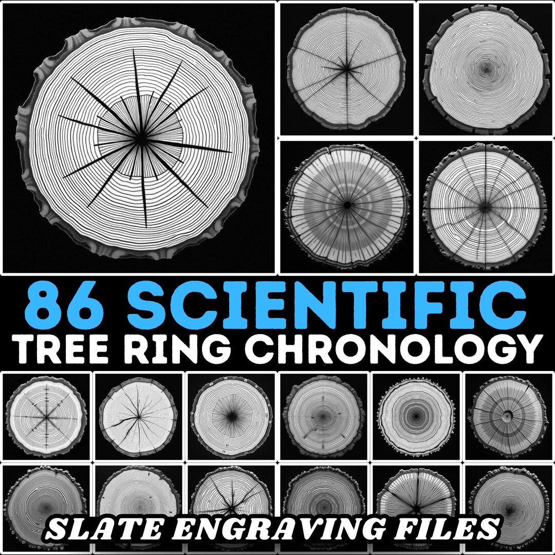 Slate Engrave Files for Scientific Tree Ring Chronology Featuring ...