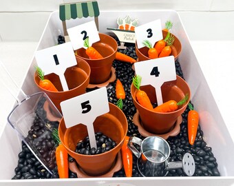 Carrot Sensory Play, Garden Sensory Bin, Sensory Kit for Kids, Spring ...