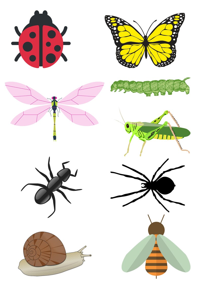 Preschool Minibeast Bug Puppet Activity - Etsy