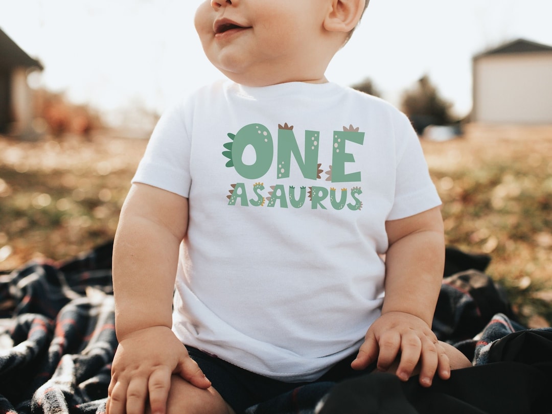 Oneasaurus 1st Birthday Boy Outfit, Dinosaur Family Matching Birthday ...