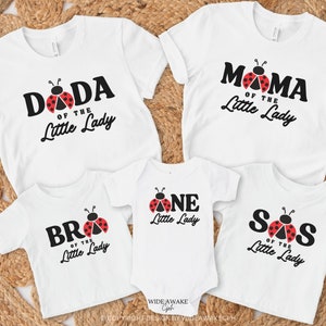 Ladybug First Birthday Shirt for Family, Mama Daddy Ladybug 1st ...
