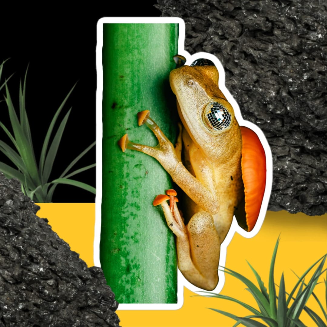 Disco Eyed Tree Frog by Bring Us the Fungus - Bubble-free Sticker - Etsy