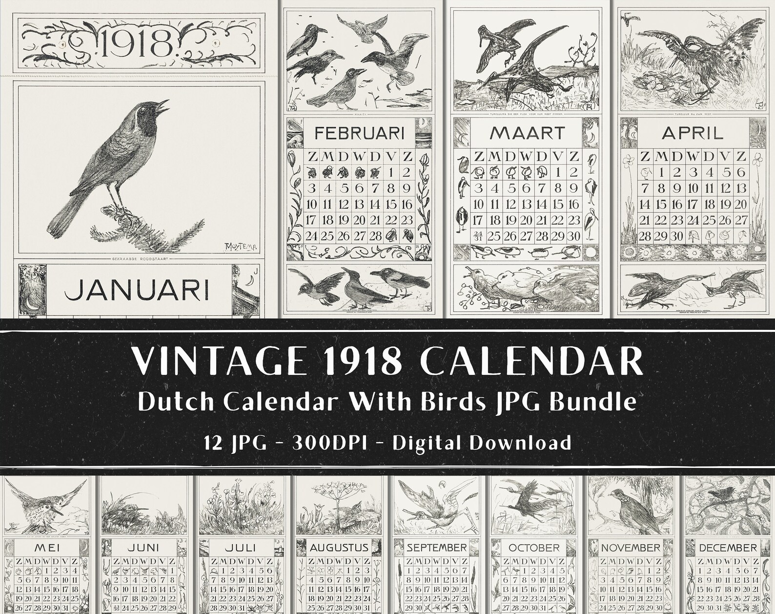 Vintage 1918 Calendar, Animal Calendar, Birds Illustrations, Calendar ...