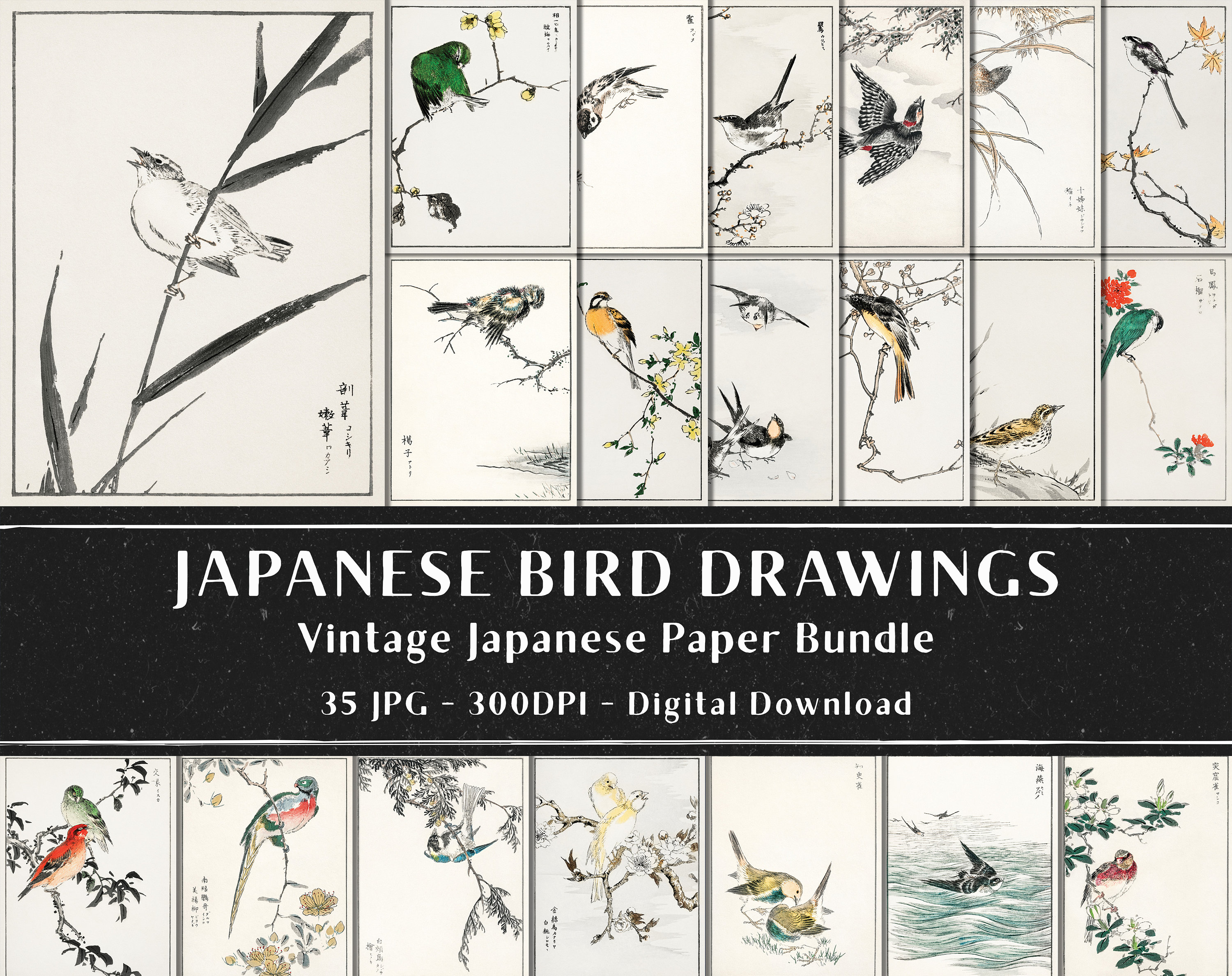 35 Japanese Bird Drawings, Vintage Bird Plates, Printable Simple ...