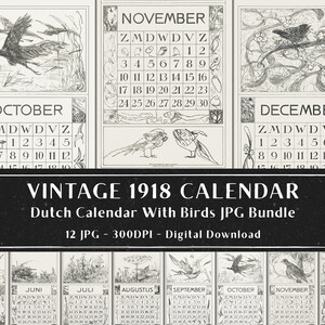 Vintage 1918 Calendar, Animal Calendar, Birds Illustrations, Calendar ...