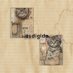 14 Cats and Kittens Digital Paper, Junk Journal Papers, Scrapbooking ...