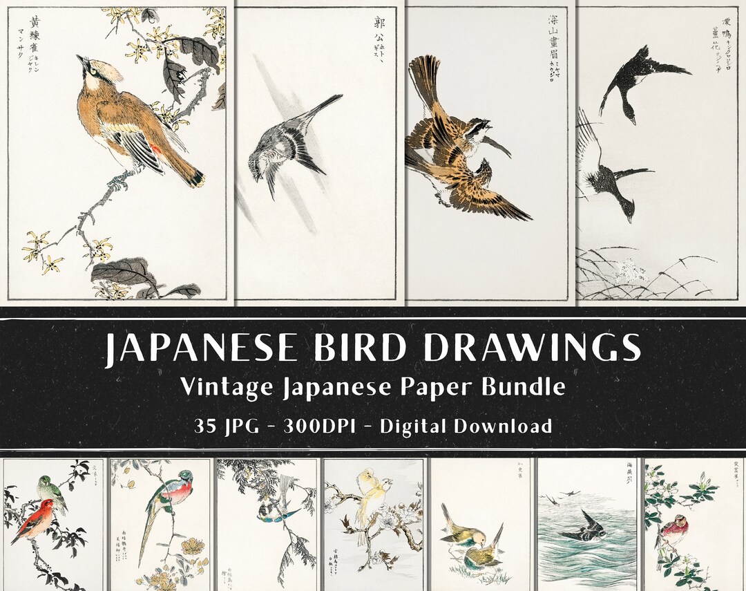 35 Japanese Bird Drawings, Vintage Bird Plates, Printable Simple ...
