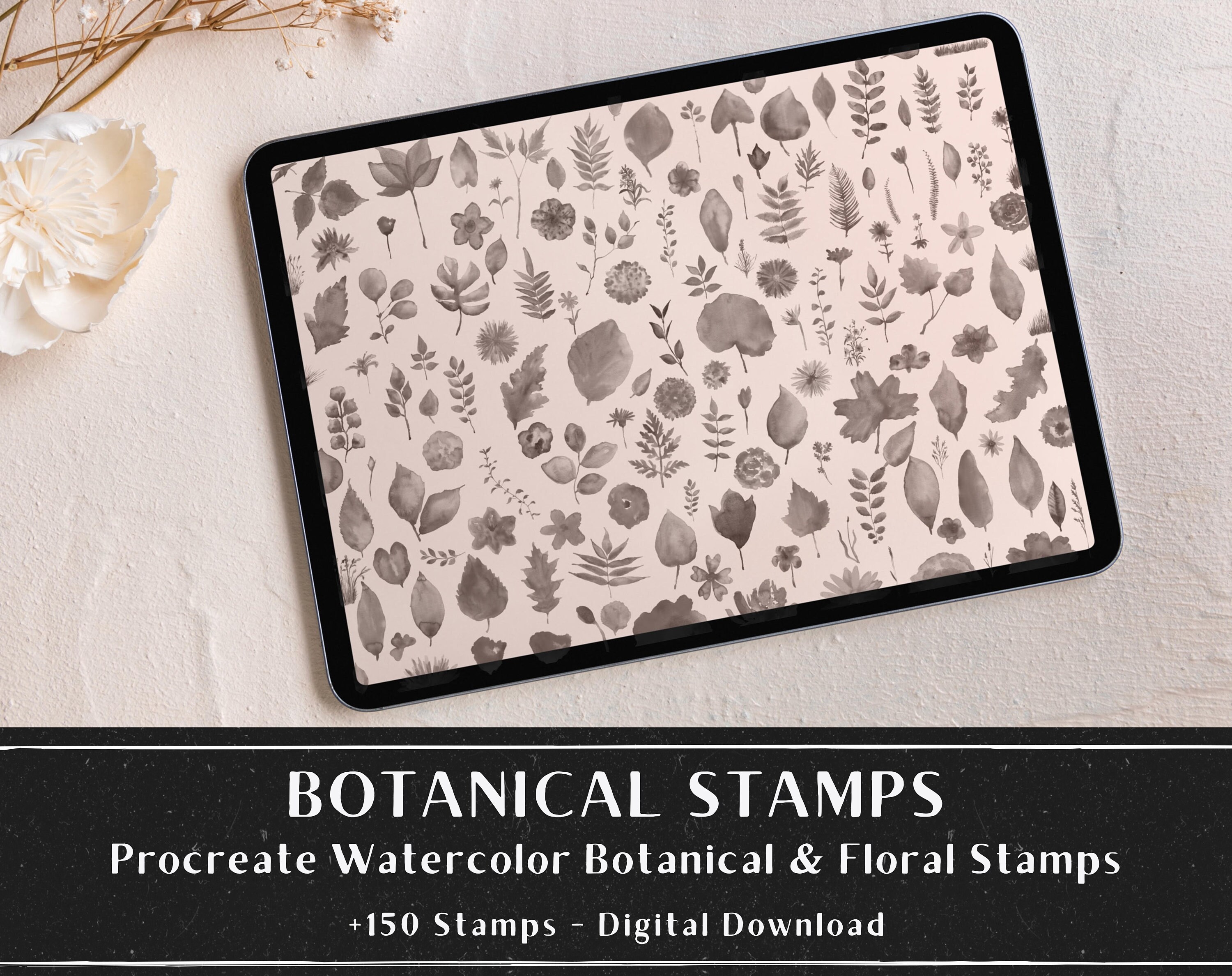 150+ Procreate Botanical Stamps, Procreate Watercolor Floral Brush ...