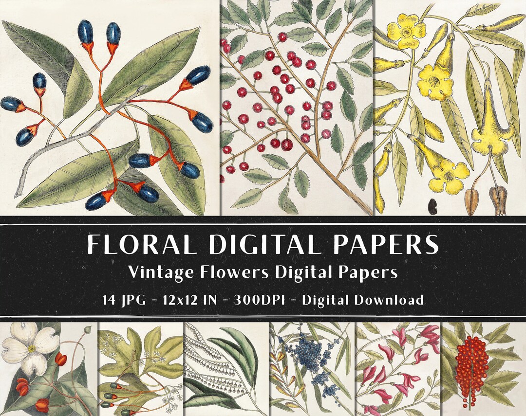 14 Vintage Floral Digital Papers, Flower Bundle, Antique Botanical ...