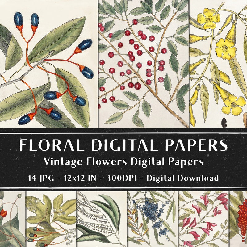 Paper Download - Etsy