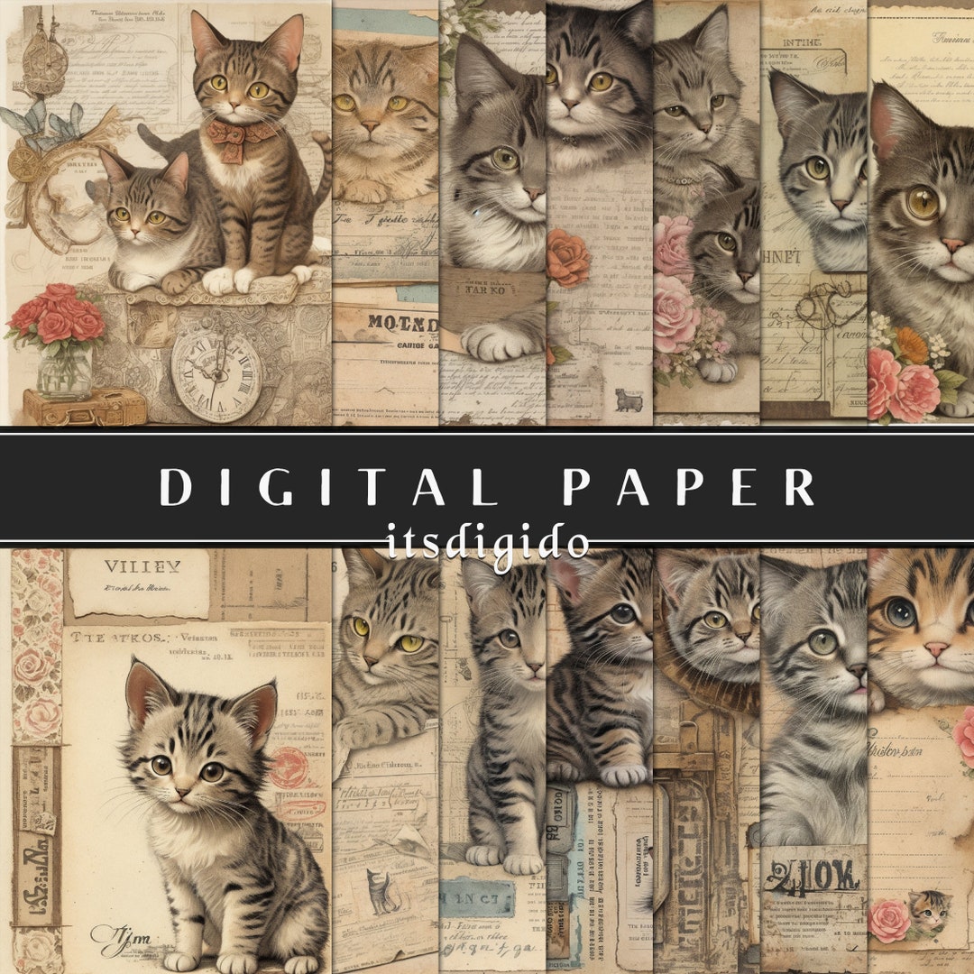 14 Cats and Kittens Digital Paper, Junk Journal Papers, Scrapbooking ...