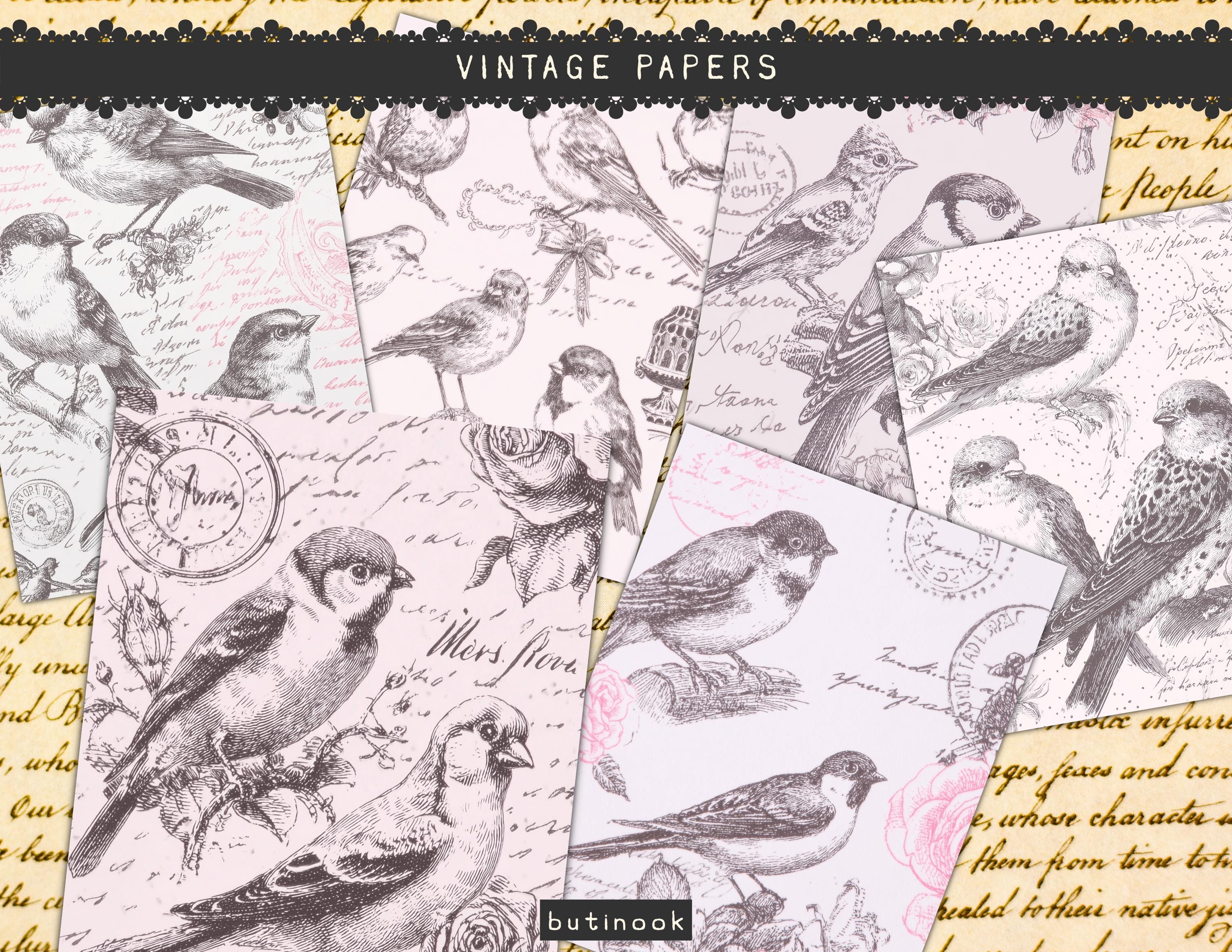 Vintage Bird Digital Paper Pack – French Ephemera Scrapbook Papers ...