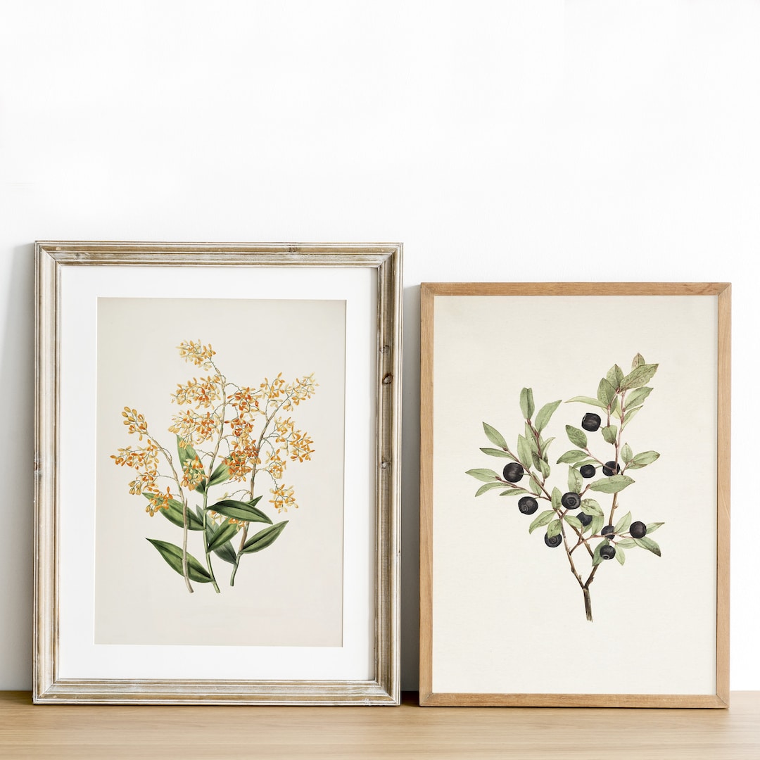 Vintage Botanical Printable, Vintage Prints Gallery Wall Art Set of 2 ...