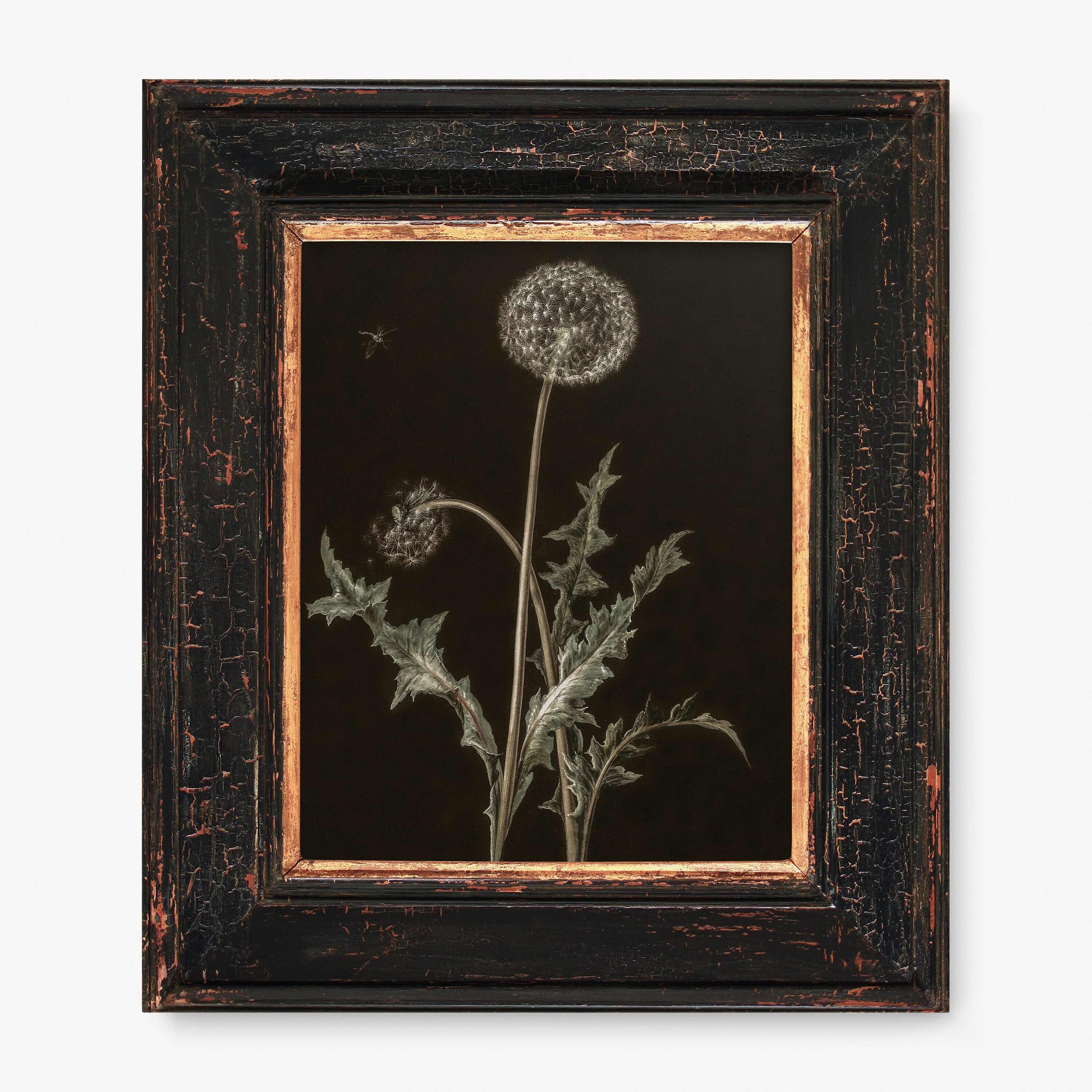 Dark Dandelion, Moody Vintage Printable Wall Art, Dark Academia Decor ...