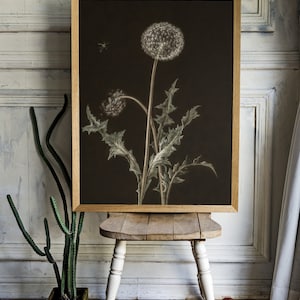 Dark Dandelion, Moody Vintage Printable Wall Art, Dark Academia Decor ...