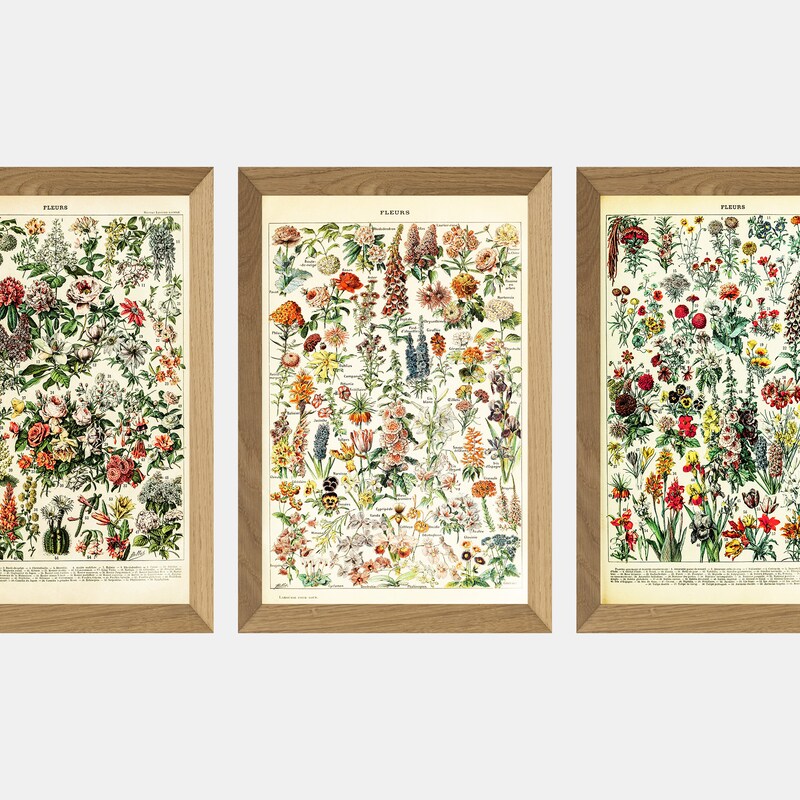 Botanical Poster - Etsy