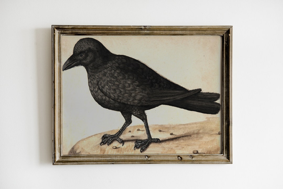 Victorian Raven Print, Dark Vintage Printable Wall Art, Vintage Raven ...