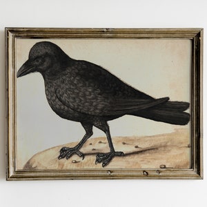 Victorian Raven Print, Dark Vintage Printable Wall Art, Vintage Raven ...