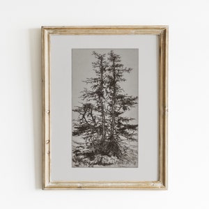 Rustic Printable Gallery Wall Art Set of 9, Muted Rustic Landscape Warm ...