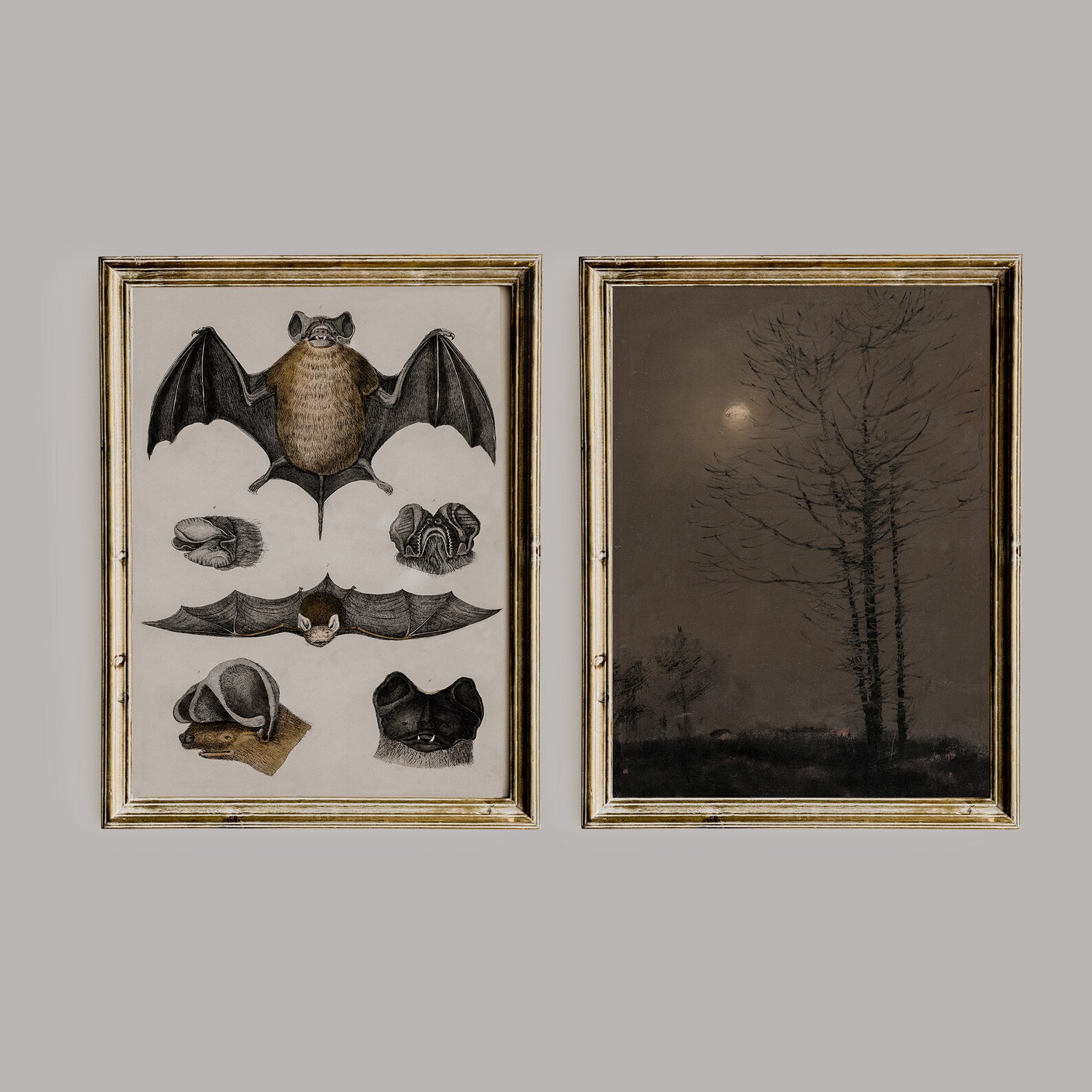 Dark Academia Decor Set, Dark Vintage Printable Gallery Wall Art Set of ...