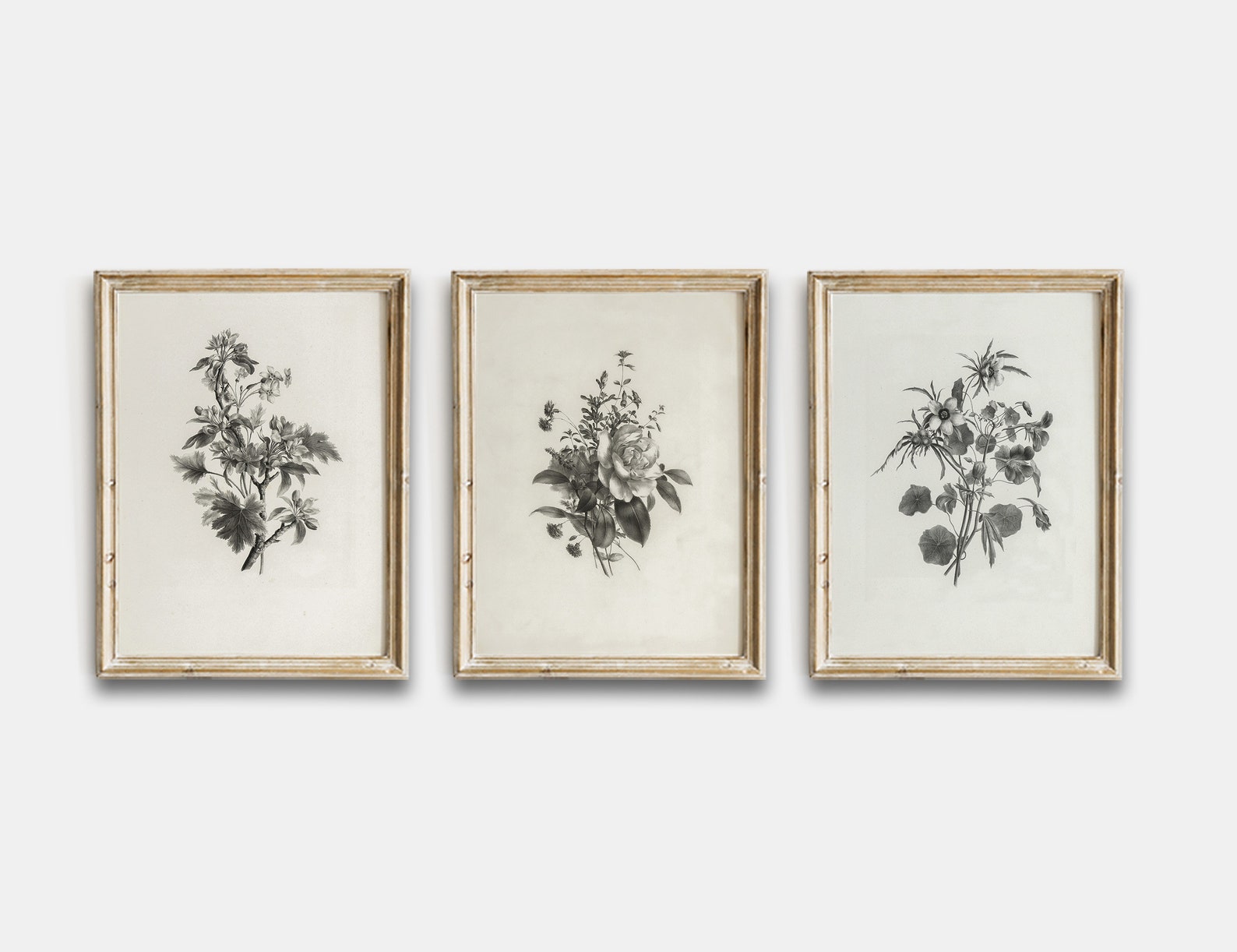 Vintage Sketch Country Flowers Printable Vintage Botanical - Etsy