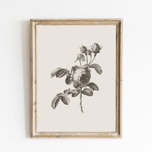 Vintage Sketch Country Flowers Printable, Vintage Botanical Gallery ...