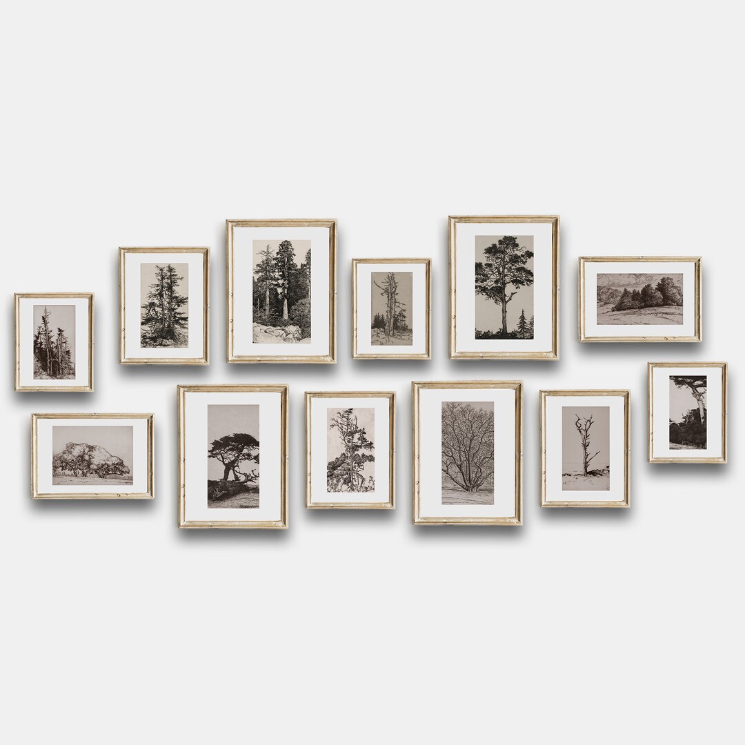 Vintage Botanical Printable, Vintage Trees Sketch Gallery Wall Art Set ...