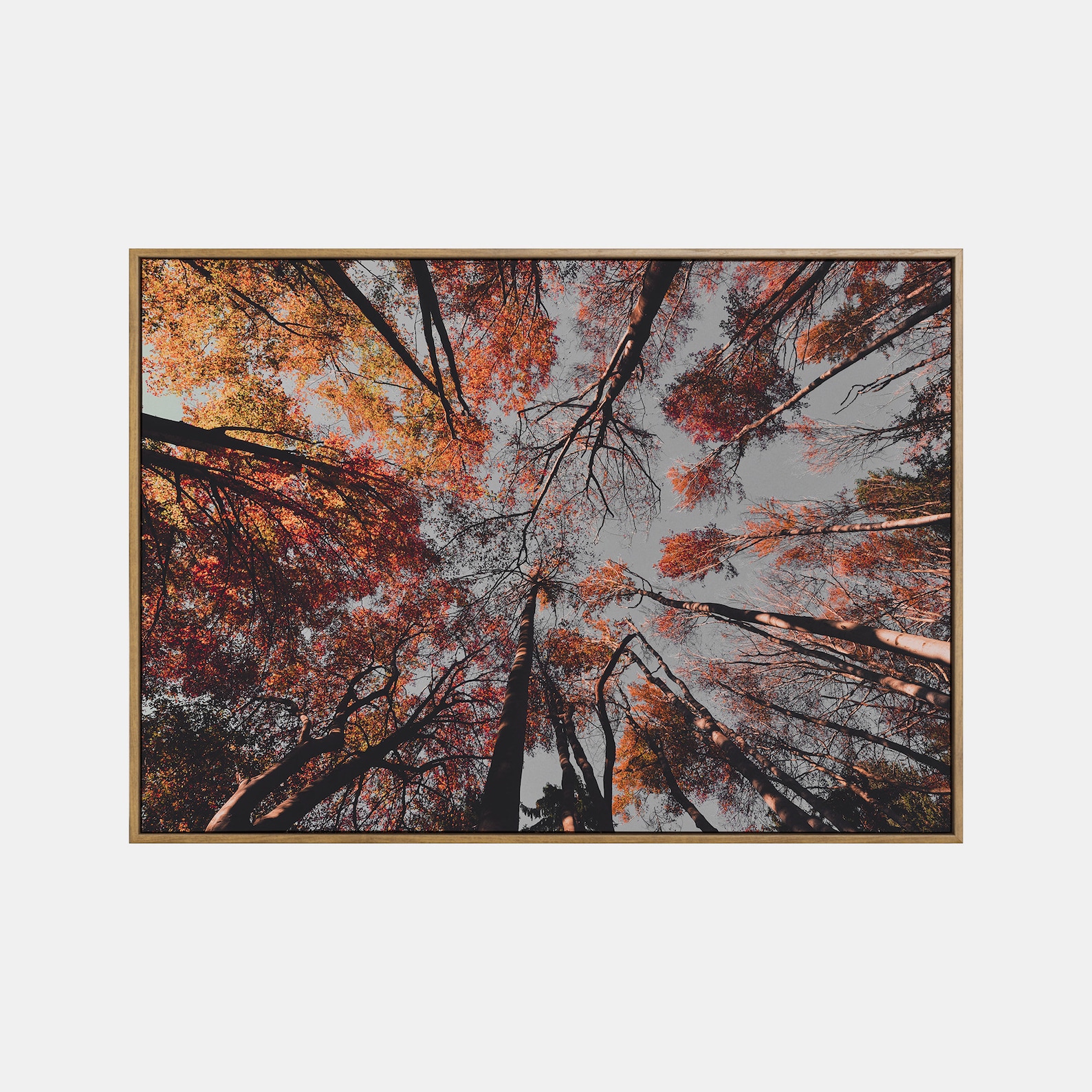 Autumn Landscape Printable, Fall Printable Landscape Wall Art, Autumn ...