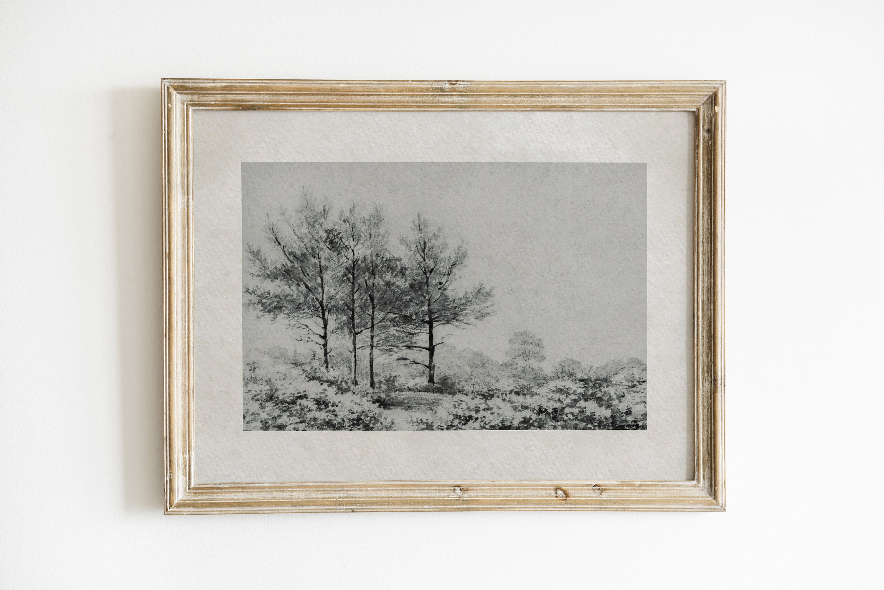 Vintage Pine Trees Printable, Rustic Prints Gallery Wall Art Set of 5 ...