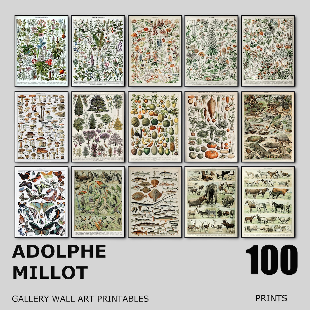 Adolphe Millot Botanical Prints, Vintage Gallery Wall Art Set of 100 ...