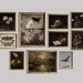 Dark Academia Decor Set, Dark Vintage Printable Gallery Wall Art Set of ...