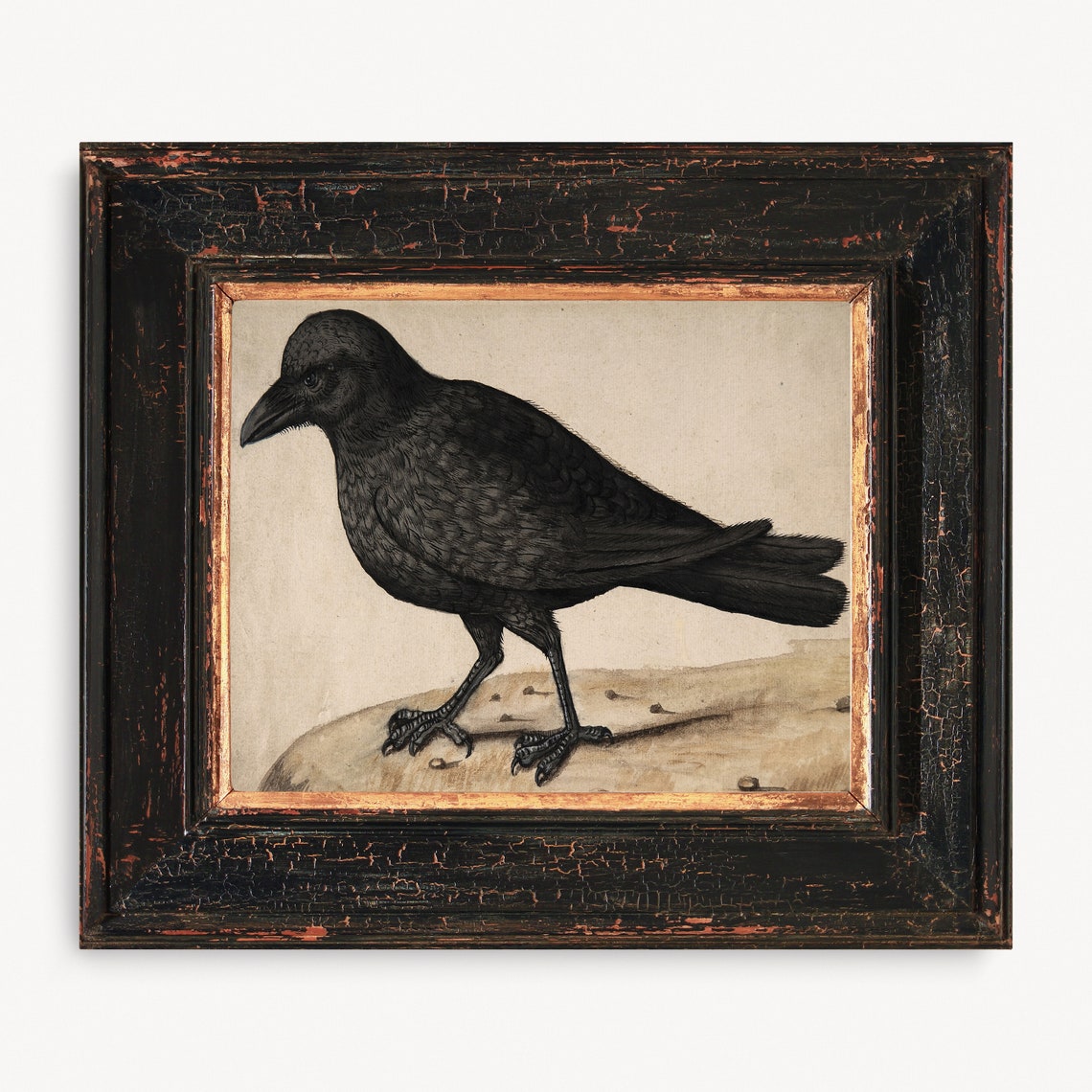 Victorian Raven Print, Dark Vintage Printable Wall Art, Vintage Raven ...