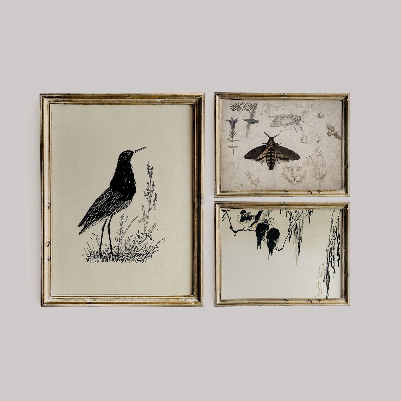 Dark Academia Decor Set Dark Vintage Printable Gallery Wall - Etsy