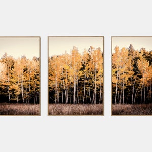 Autumn Landscape Printable Set, Fall Gallery Wall Art Set of 3, Autumn ...