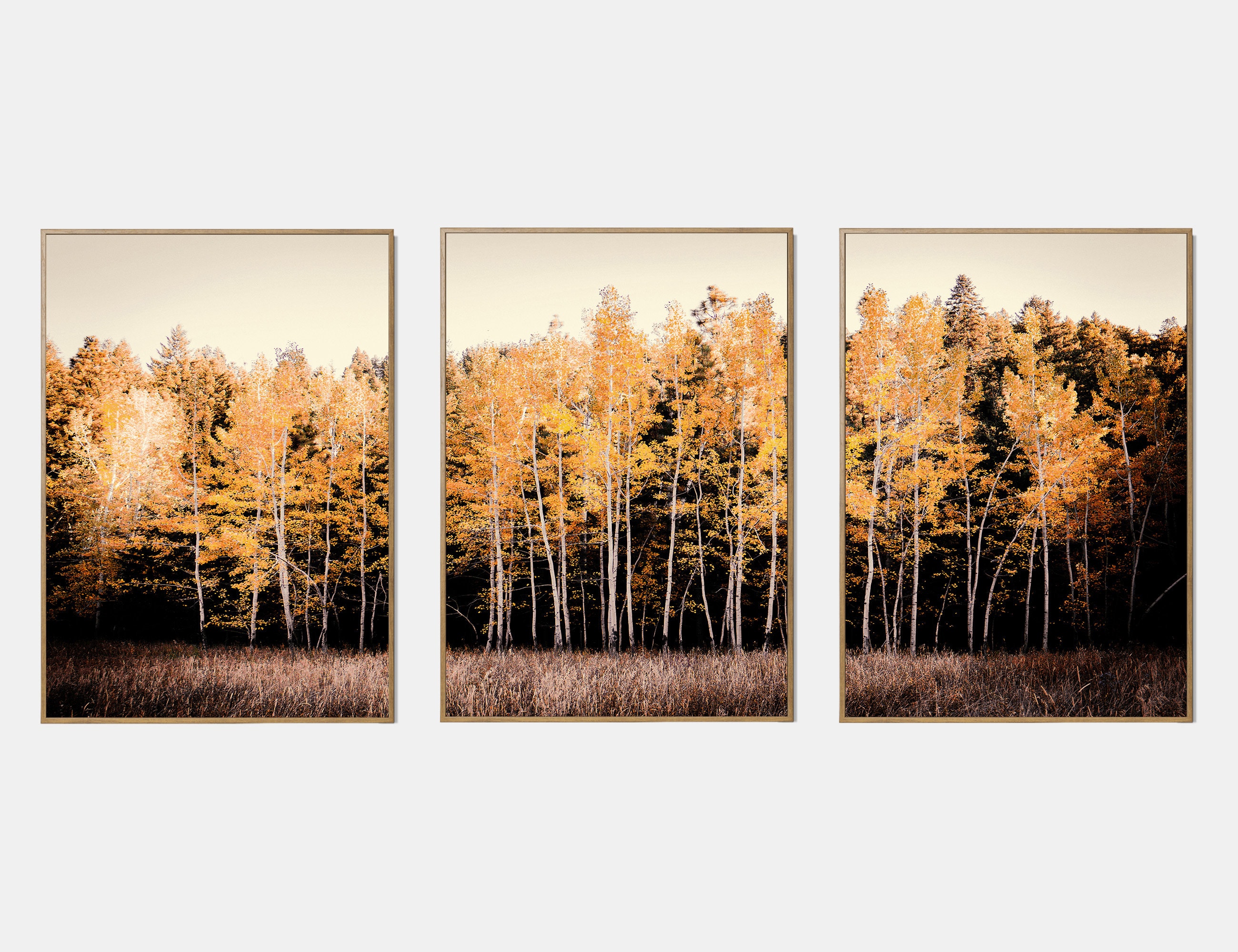 Autumn Landscape Printable Set, Fall Gallery Wall Art Set of 3, Autumn ...