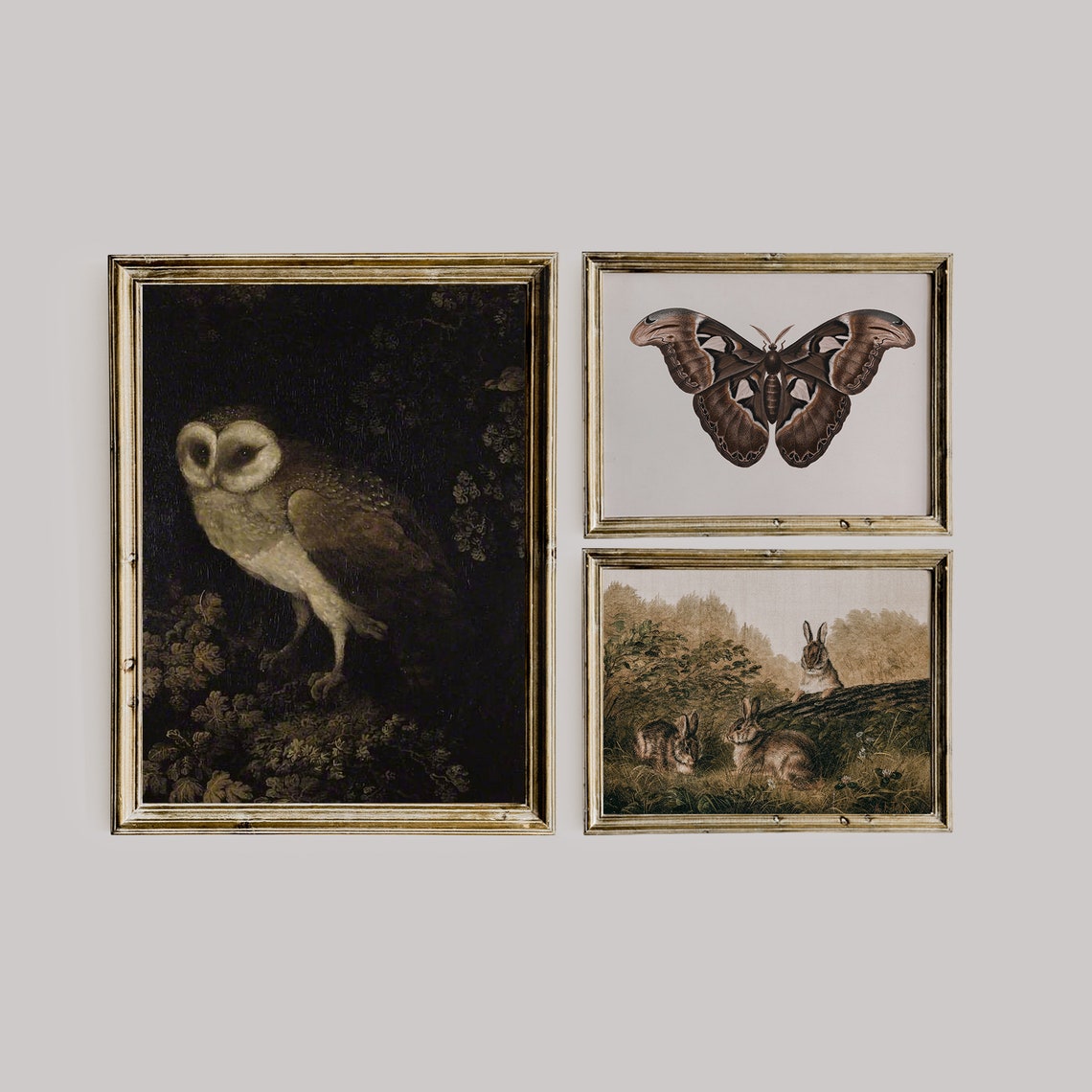 Dark Academia Decor Set Dark Vintage Printable Gallery Wall - Etsy