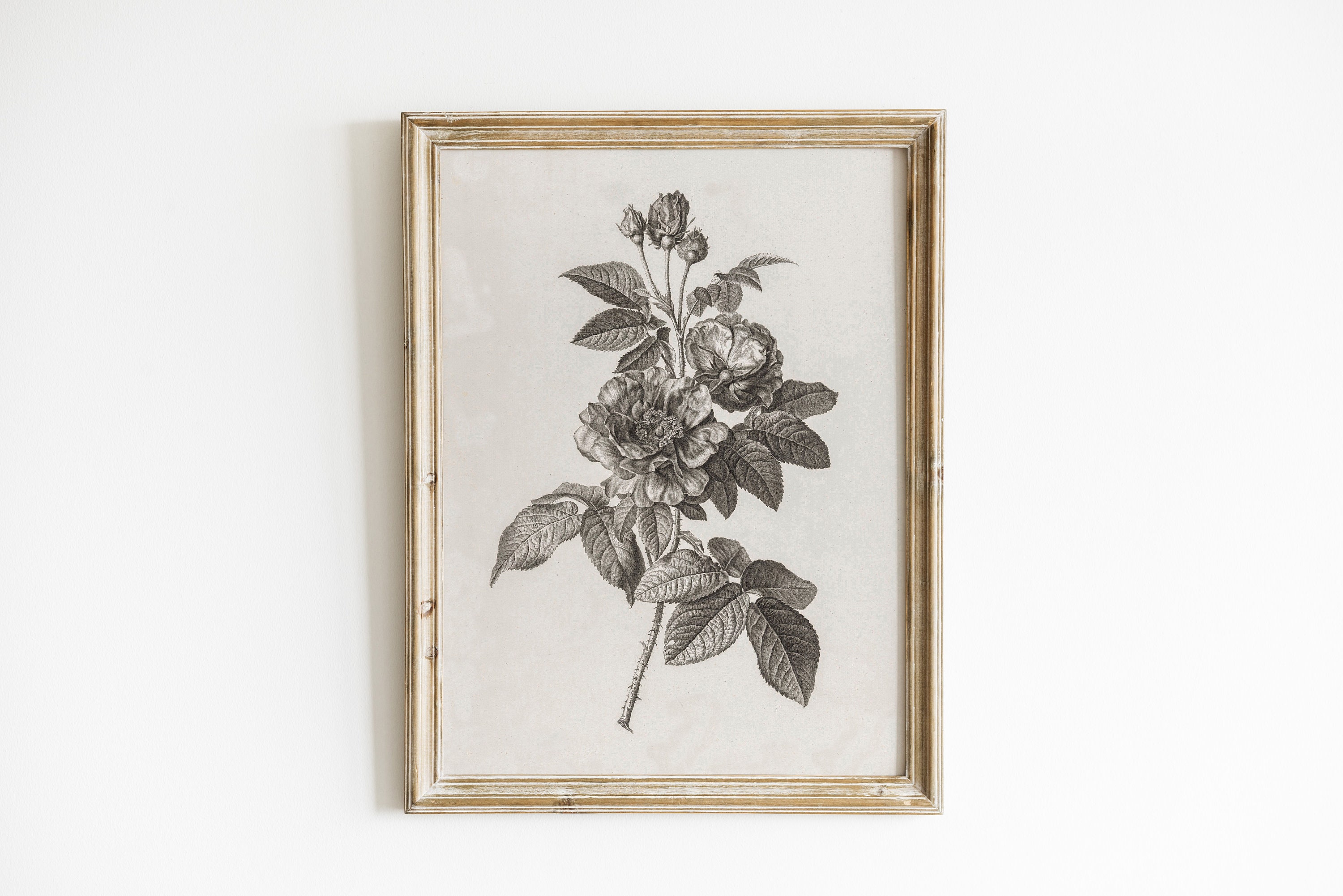 Vintage Sketch Country Flowers Printable Vintage Botanical - Etsy