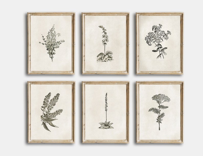 Vintage Sketch Country Flowers Printable Vintage Botanical - Etsy
