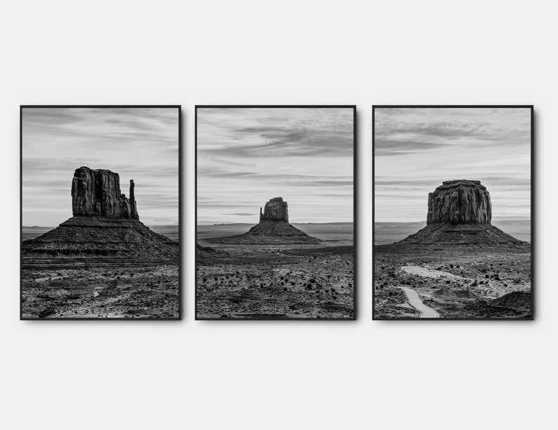 Arizona Desert Black and White Prints, Gallery Wall Art Set of 3, Black ...