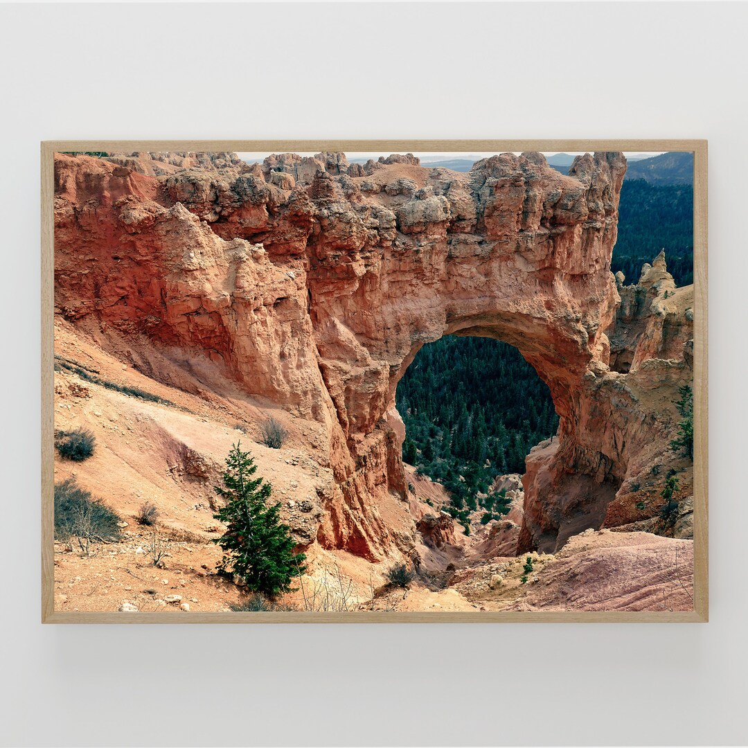 Arizona Desert Prints, Desert Printable Wall Art, Southwestern ...