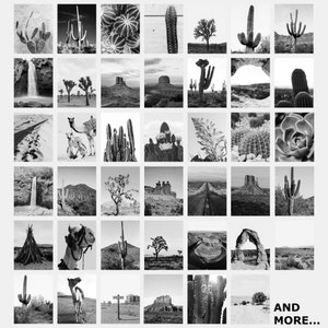 Arizona Desert Black and White Prints, Gallery Wall Art Set of 70 ...