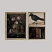 Dark Academia Decor Set, Dark Vintage Printable Gallery Wall Art Set of ...
