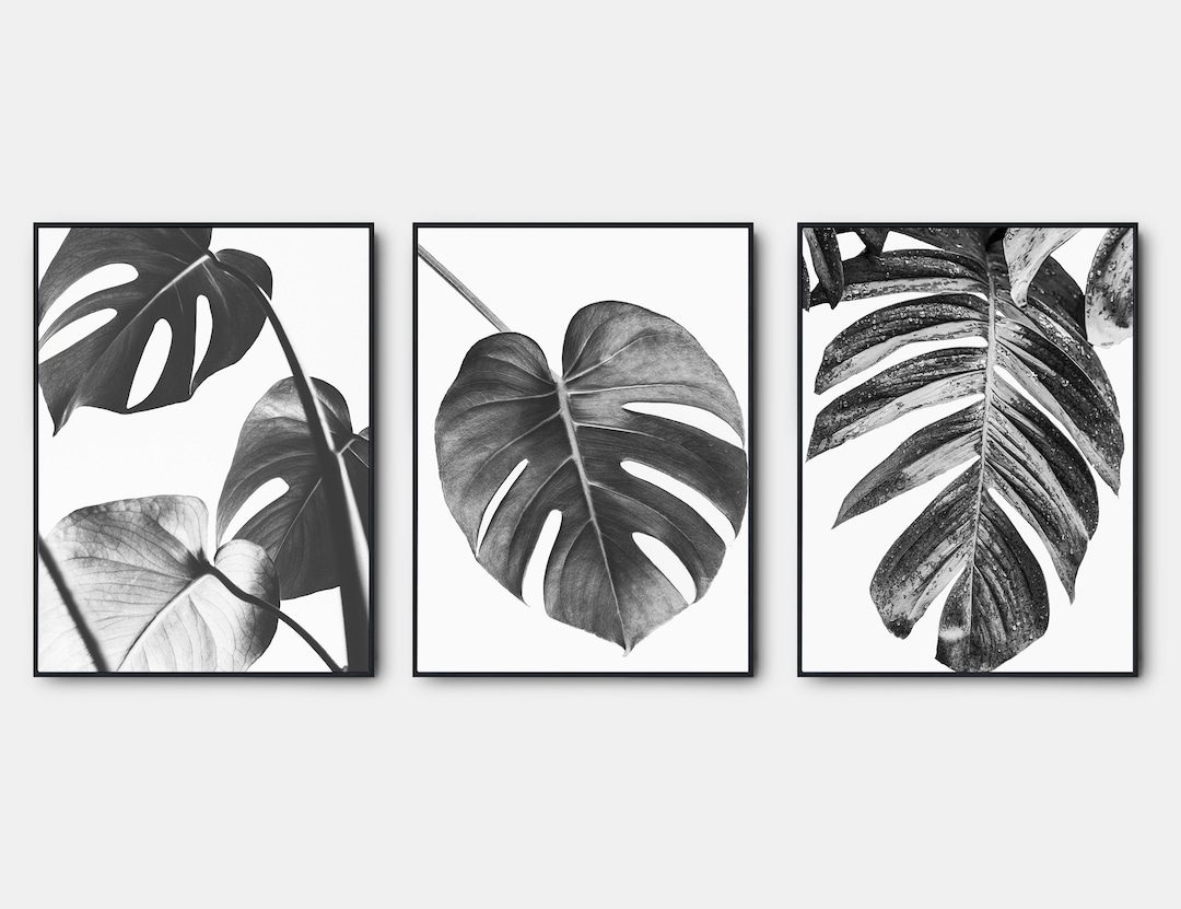 Monstera Leaves Prints, Botanical Gallery Wall Art Set of 3, Beach ...