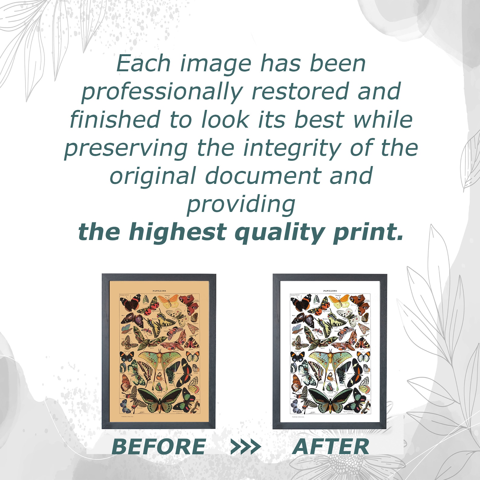 Adolphe Millot Botanical Prints, Vintage Gallery Wall Art Set of 100 ...