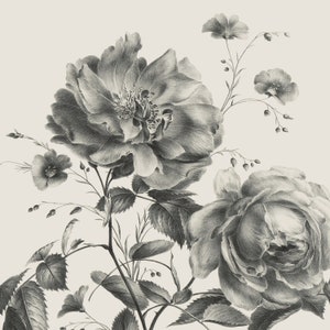 Vintage Sketch Country Flowers Printable, Vintage Botanical Gallery ...