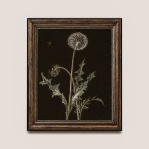 Dark Dandelion, Moody Vintage Printable Wall Art, Dark Academia Decor ...