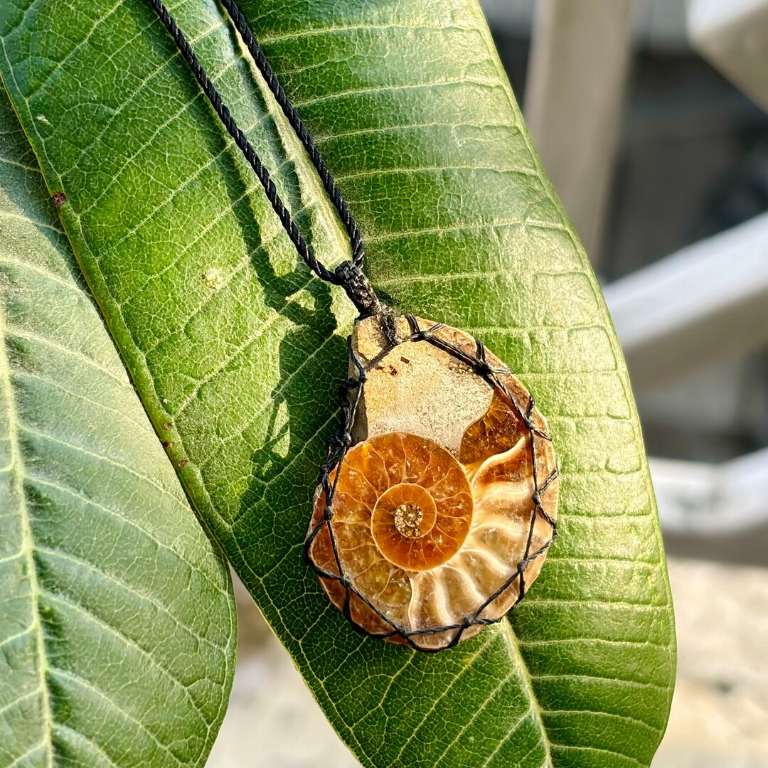 Natural Ammonite Micro Macrame Pendant Necklace, Ammonite Macrame ...