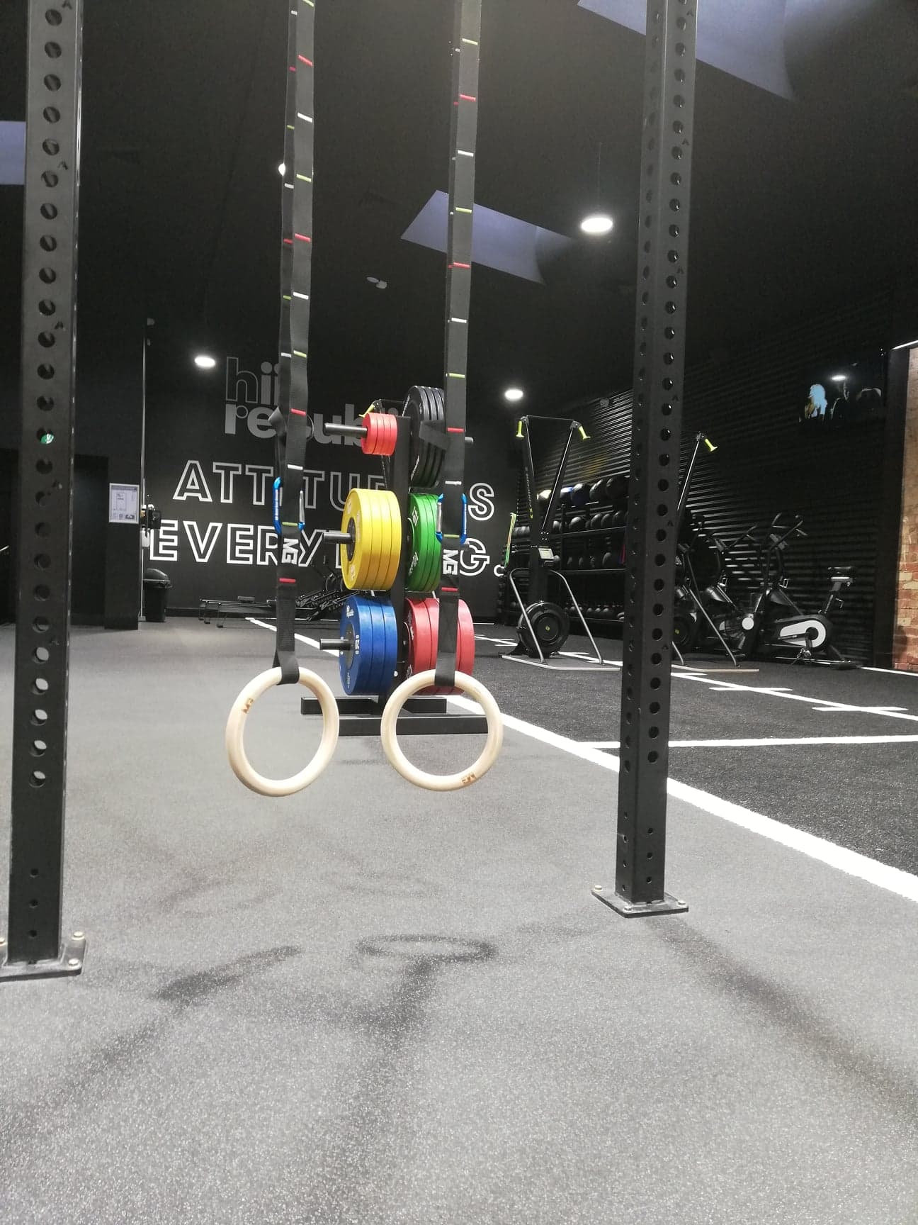 MG Gym Rings - Etsy